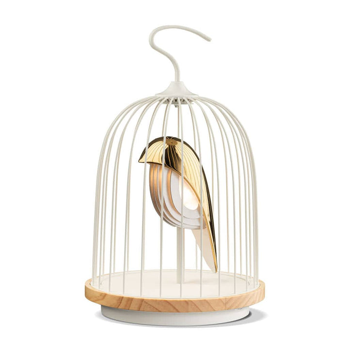 JinGoo en Bird van DaqiConcept – starttoart