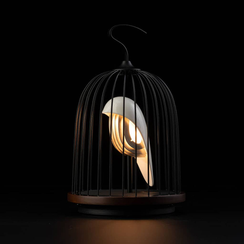 JinGoo en Bird van DaqiConcept – starttoart