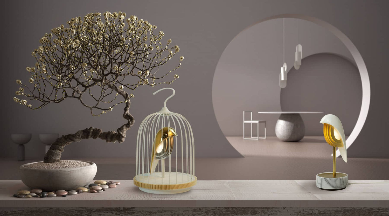 JinGoo, Chirp en Bird van DaqiConcept – starttoart